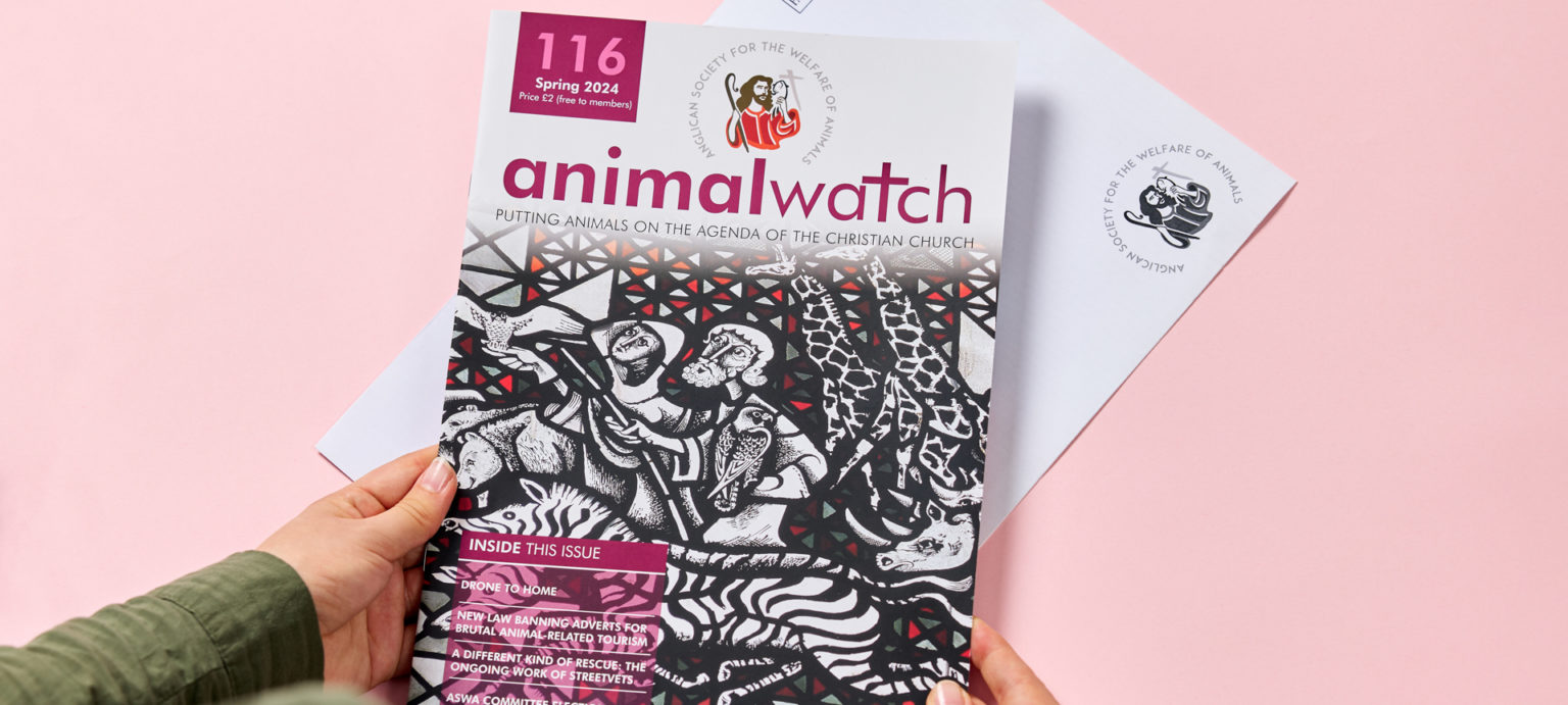 Direct Mail Printing | Oprhans Press, Herefordshire